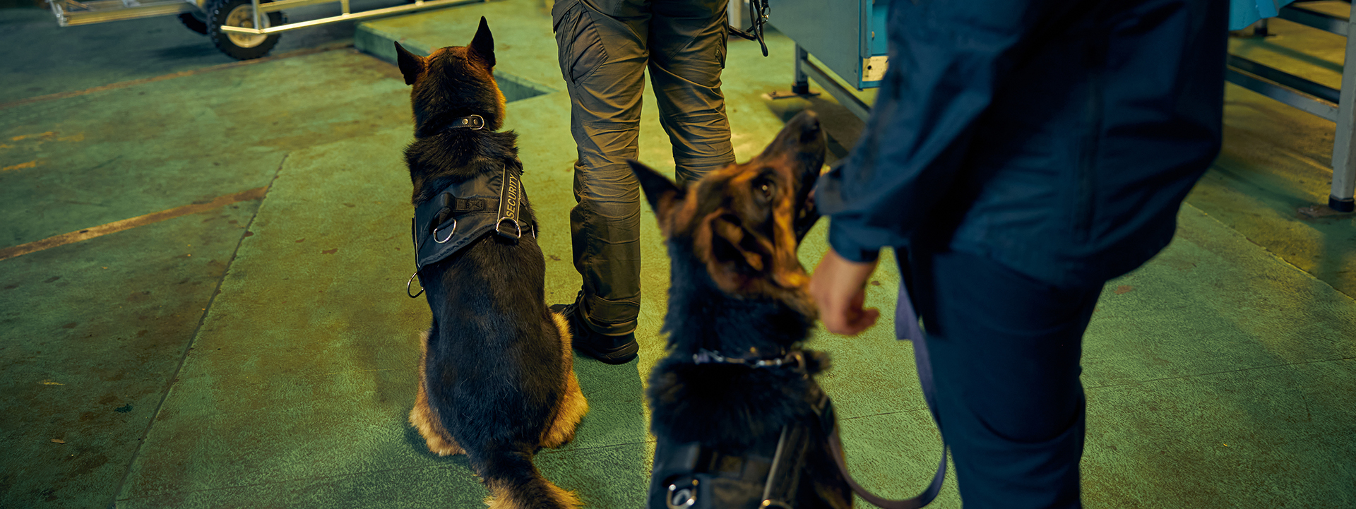 Stance Security – Professional, Customer-Focused Security